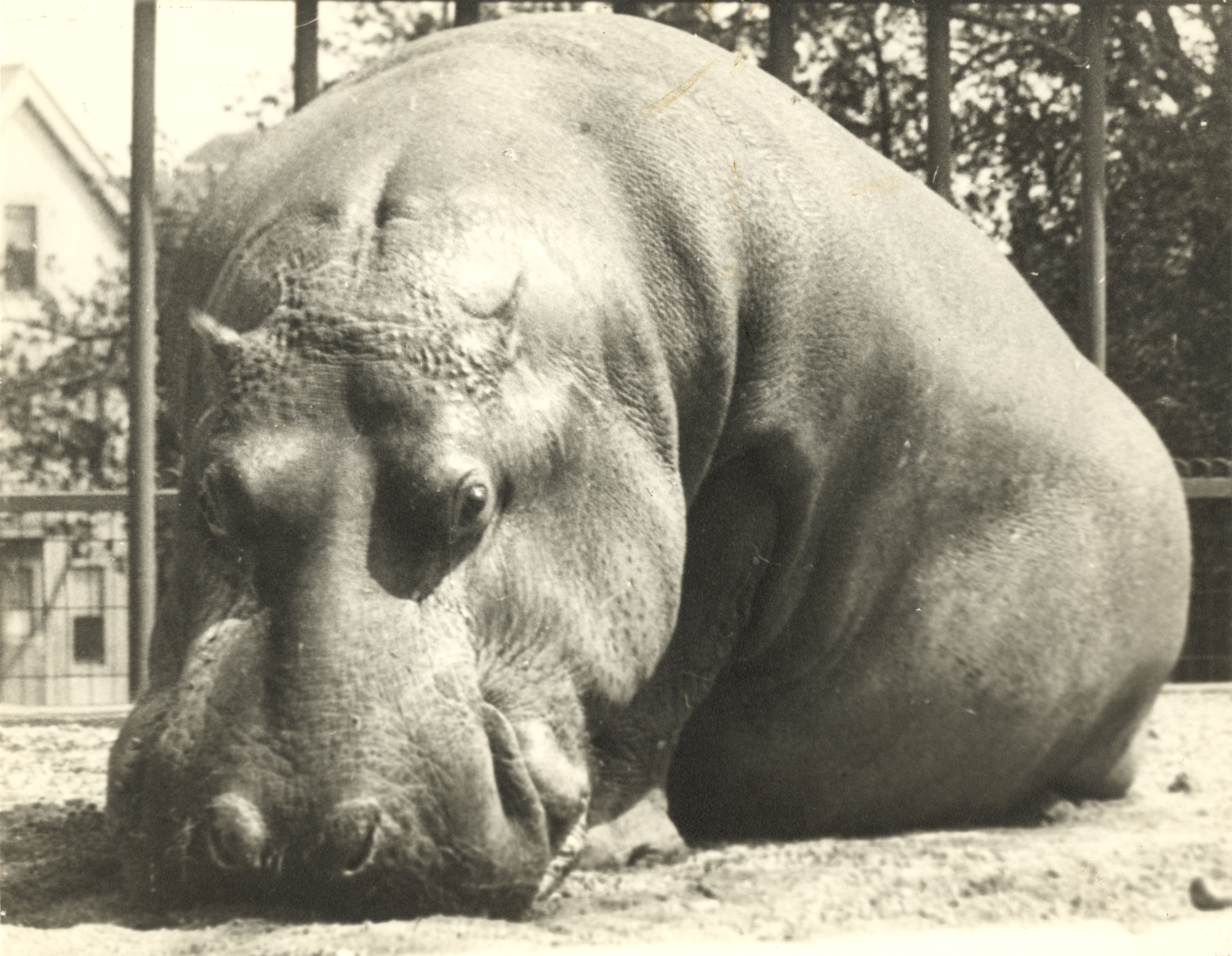 Explore Milwaukee History with the Historic Photo Collection · MPL