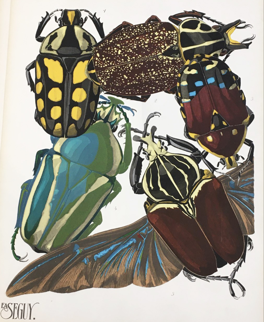 Treasures of the Rare Books Room: Decorative Art Portfolios by E. A ...