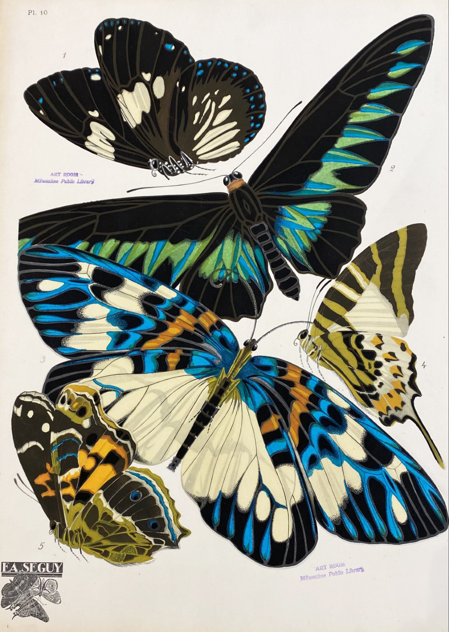 Treasures of the Rare Books Room: Decorative Art Portfolios by E. A ...